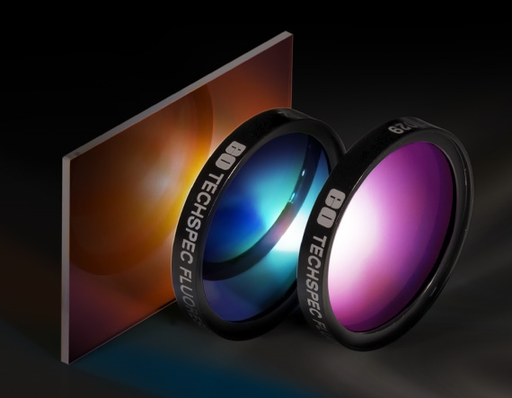 Fluorescence Filter Set for Yellow Fluorescence Protein (YFP)